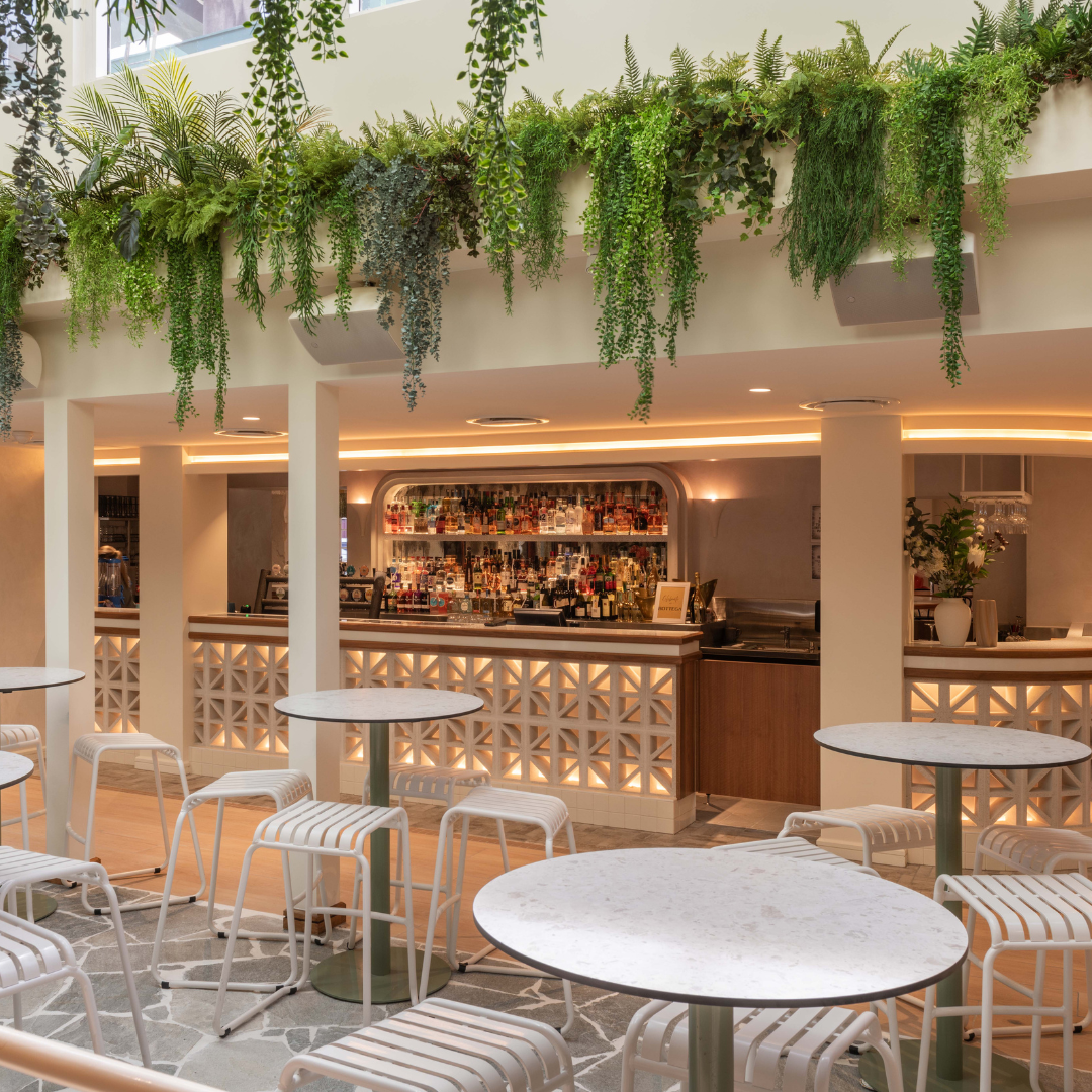 Dining — The Manly Hotel, Manly, QLD