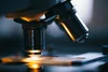Strain-level Identification of Microbes and Why It Is Important ...