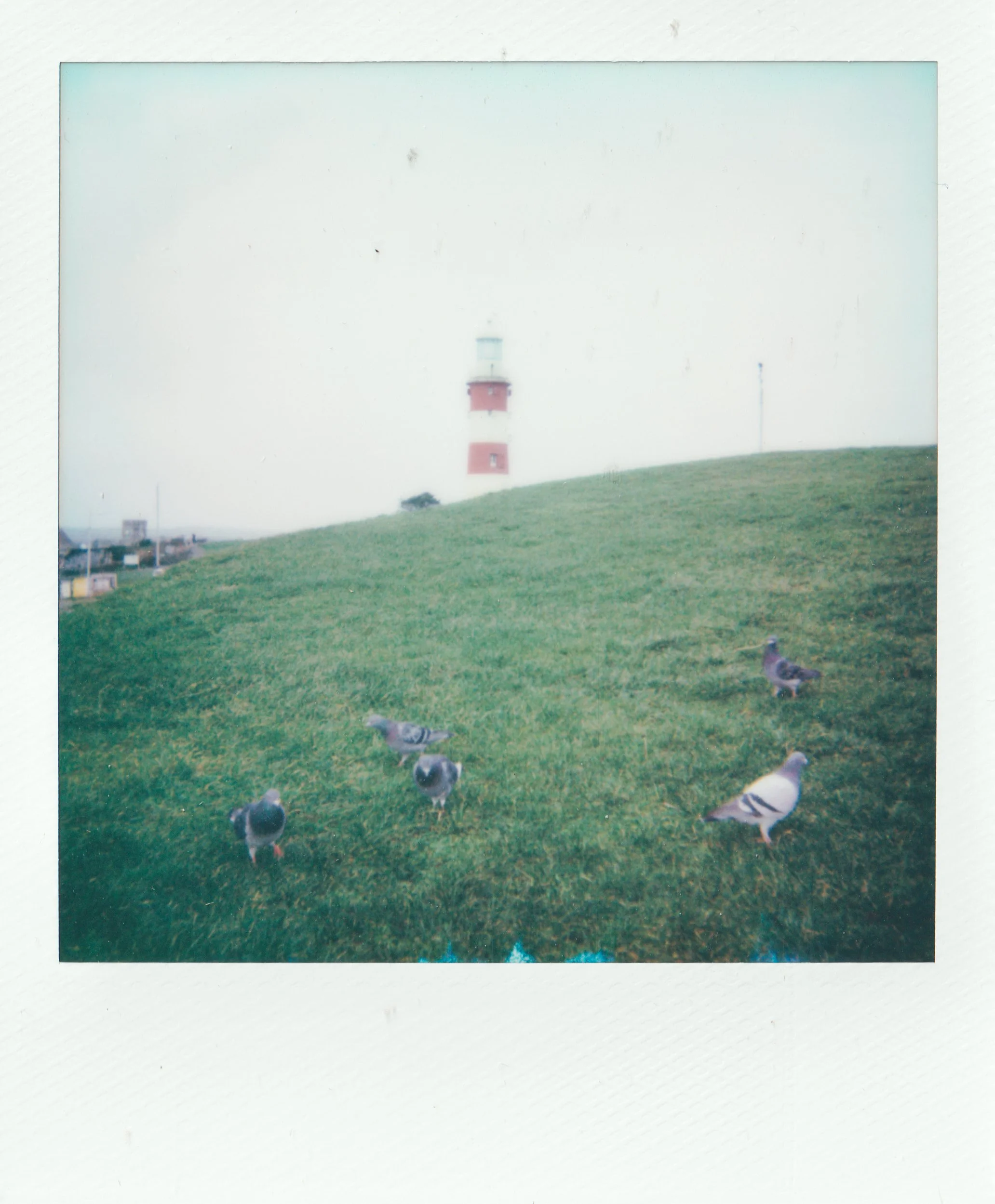 Polaroid Impulse AF Instant Camera - Black Square Photography ...
