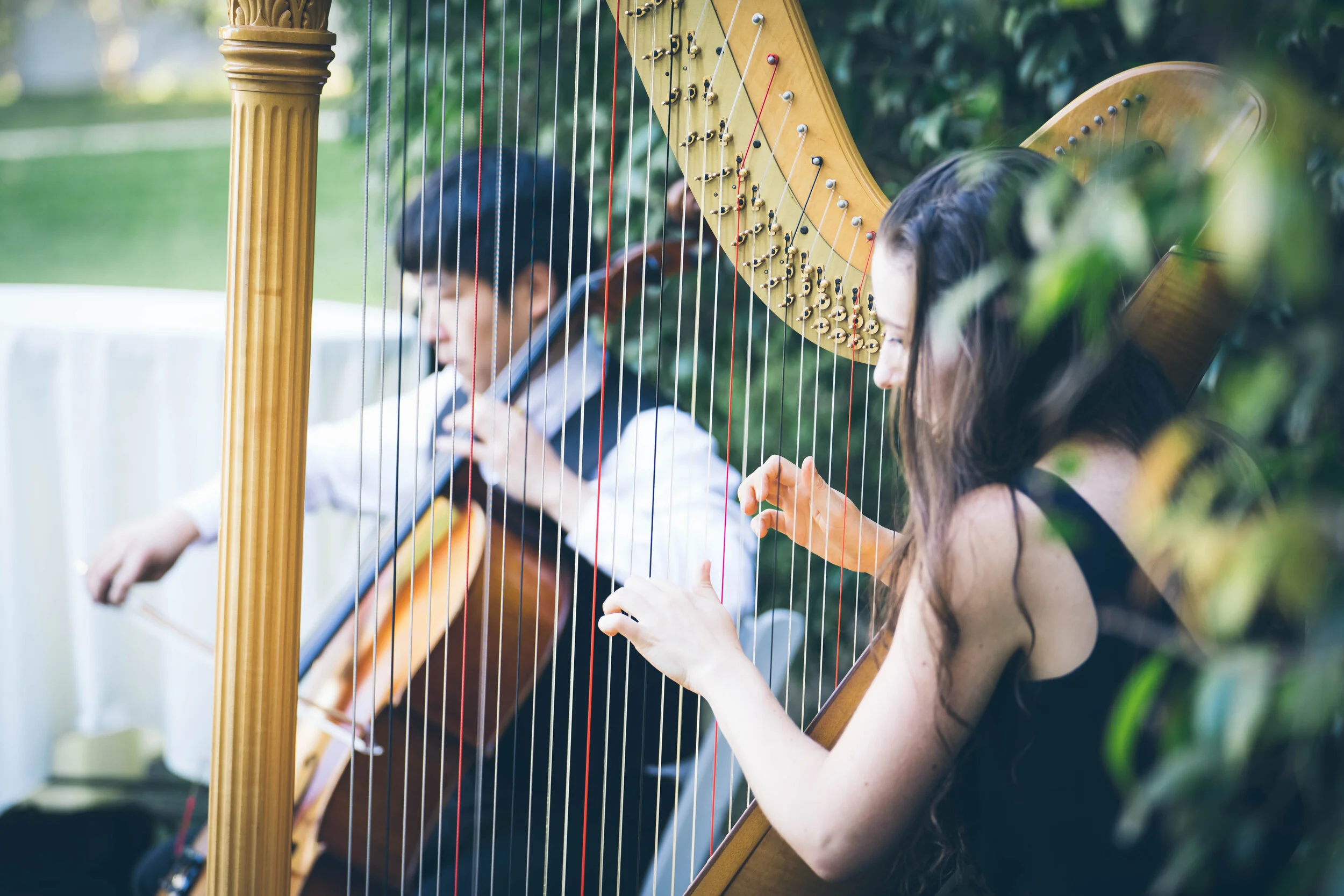 Gallery | Best Classical Music for Weddings and Events — Pink Mozart ...