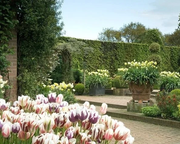 Gardens — East Ruston Old Vicarage Gardens