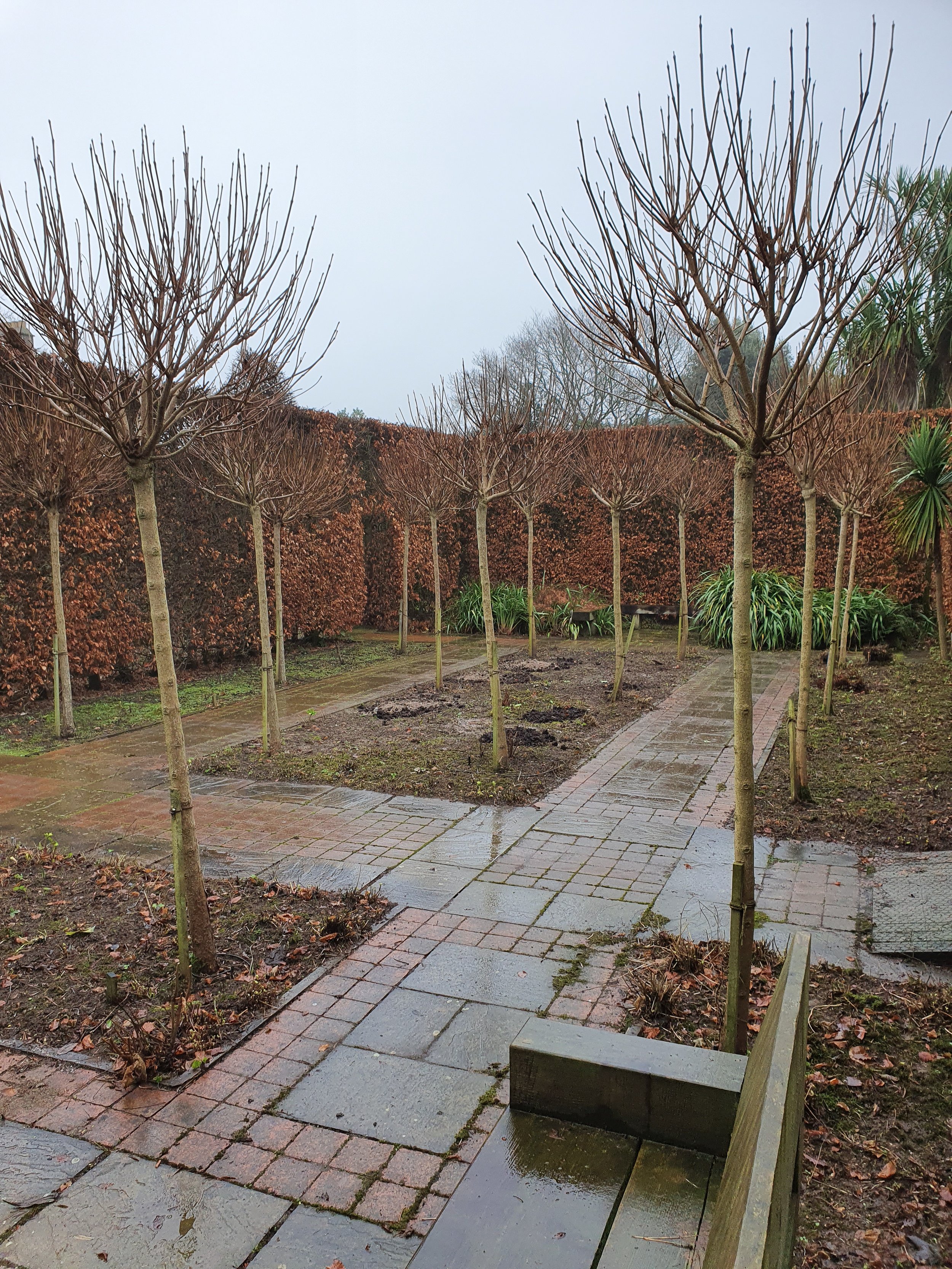 Gardens — East Ruston Old Vicarage Garden