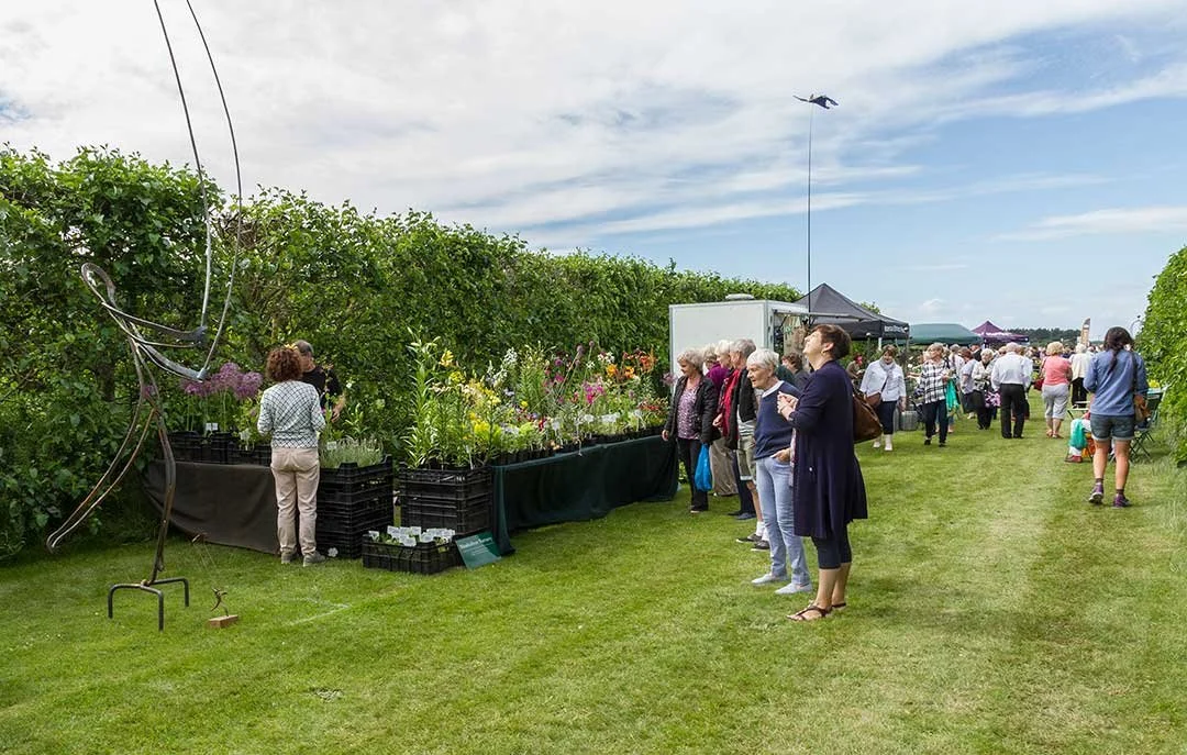 Events — East Ruston Old Vicarage Gardens