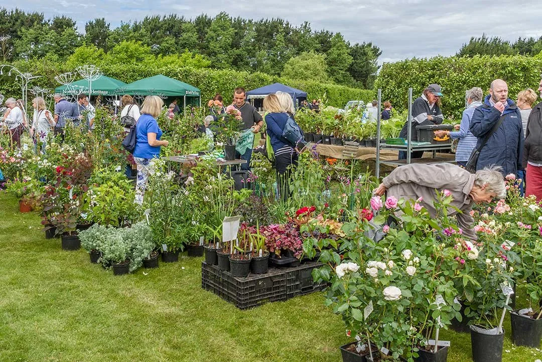 Events — East Ruston Old Vicarage Gardens