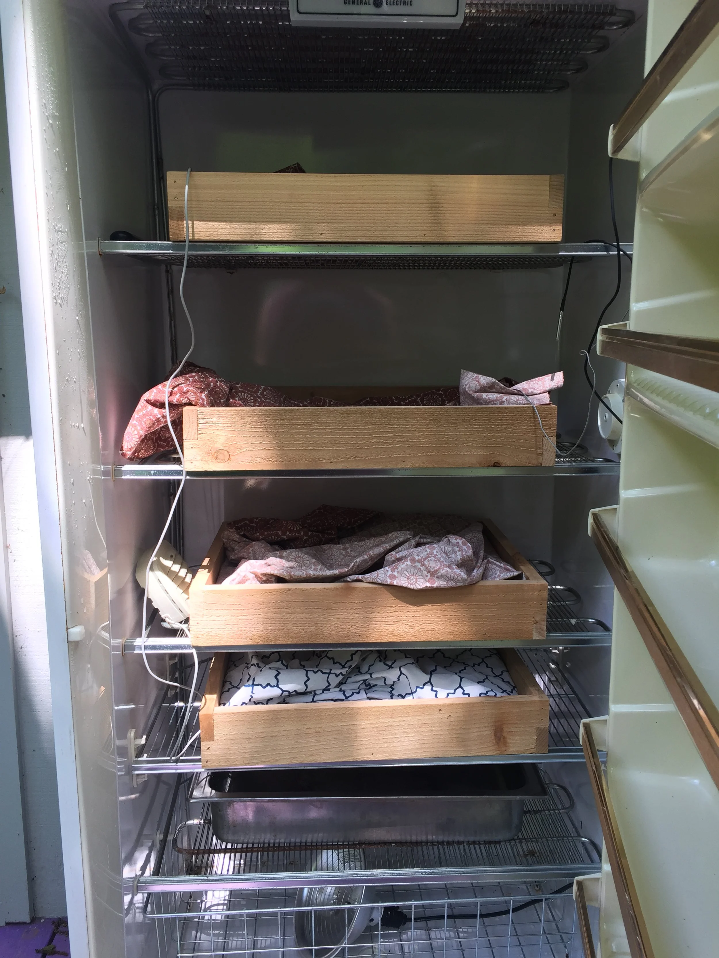 Soirée-Leone Sinclair