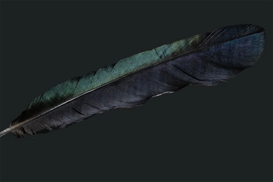 Carbon-negative biocarbon functional fillers by Made of Air — Made of Air
