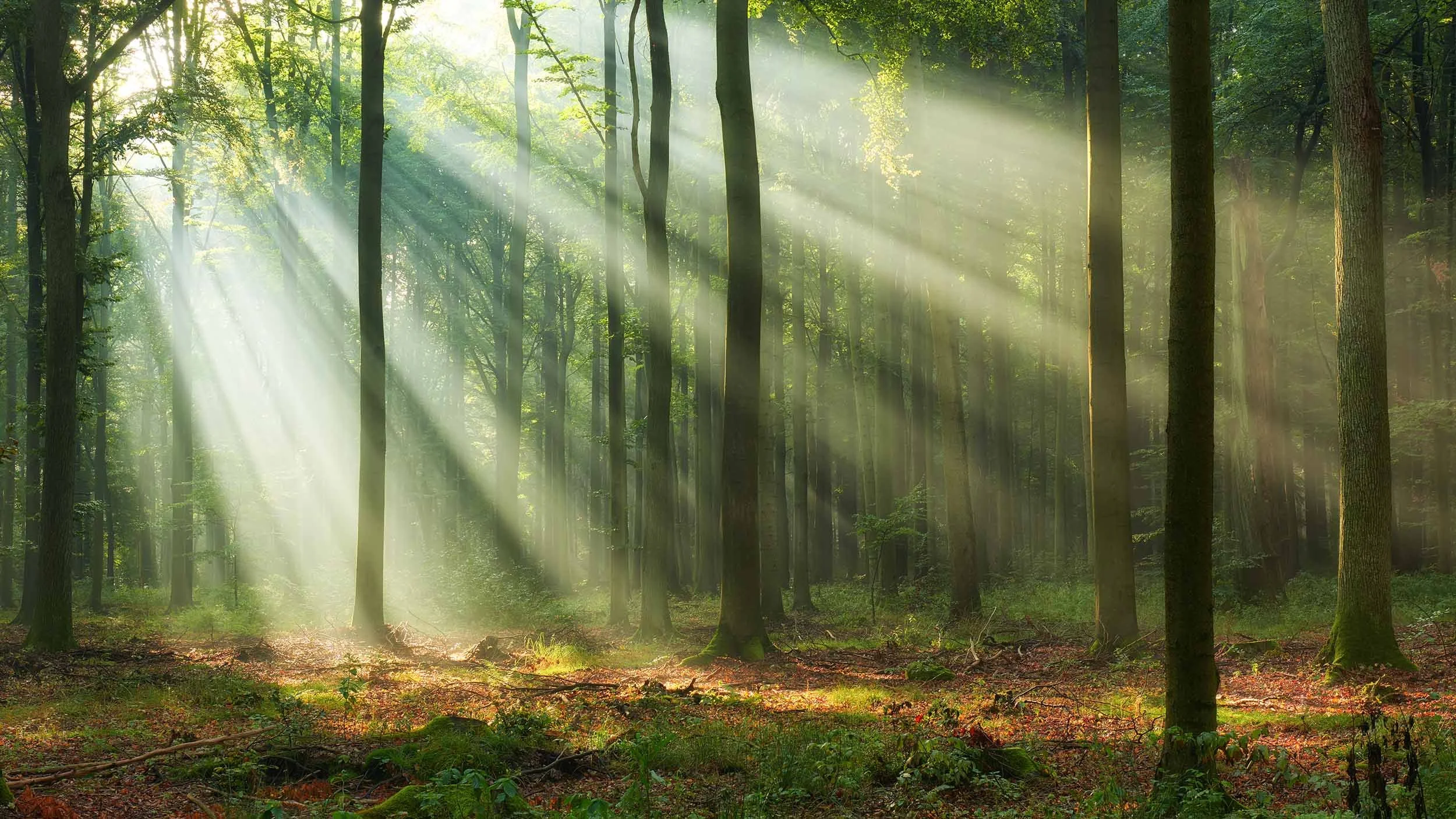 We build the future of carbon-negative materials — Made of Air