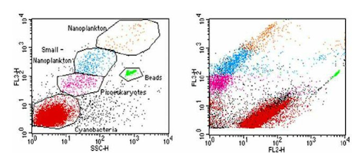 Flow cytometry — LakeAid, nanobobler, Danmark, iltning, alger ...
