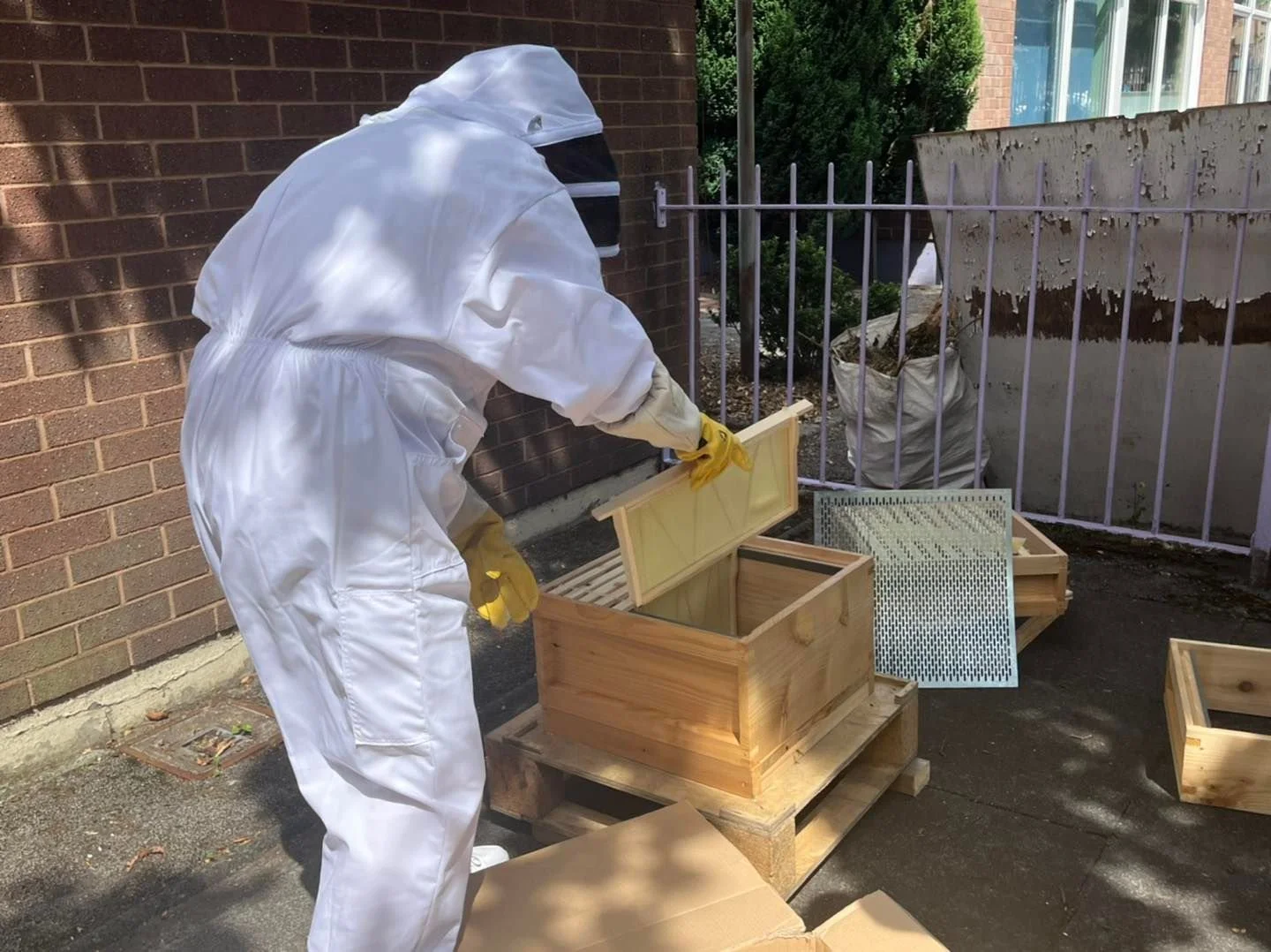 Latest News - Bee Positive — Tomorrow's Women Wirral