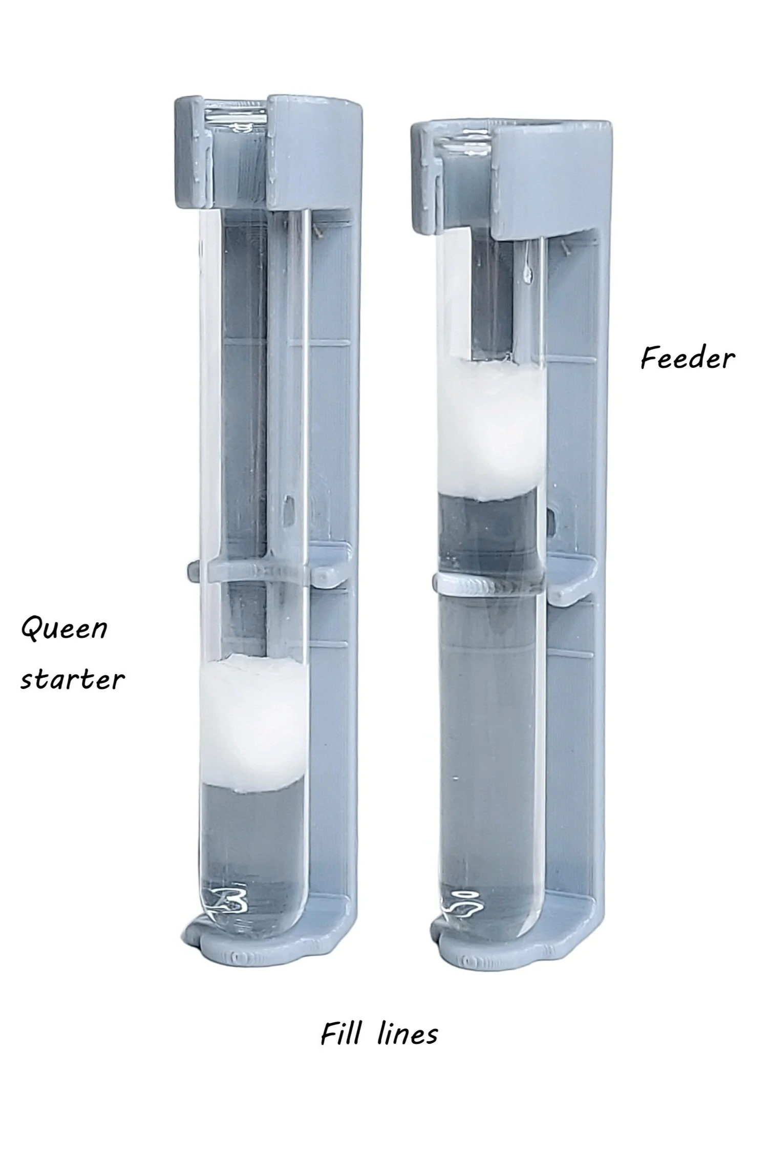 Test Tube Setup Optimize Your Ant Habitats Get Started Today