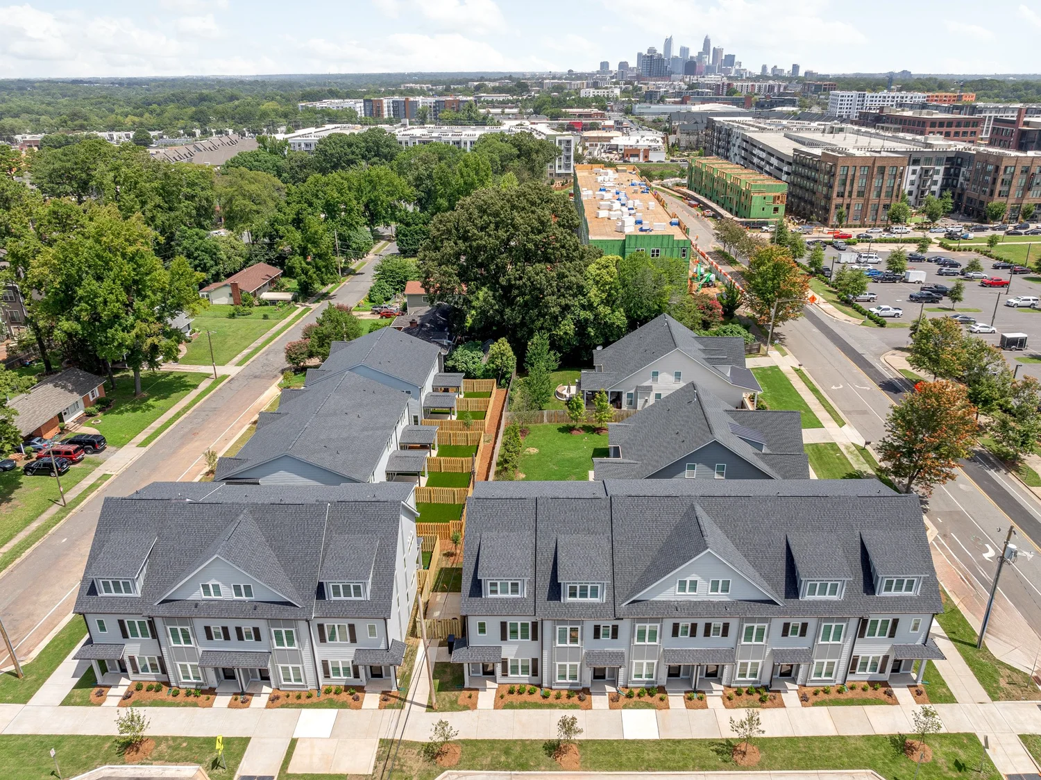 Freeland Townes at LoSo | Freeland Park — Denciti Partners