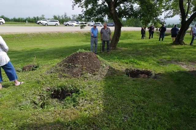 Member Events — SLSA