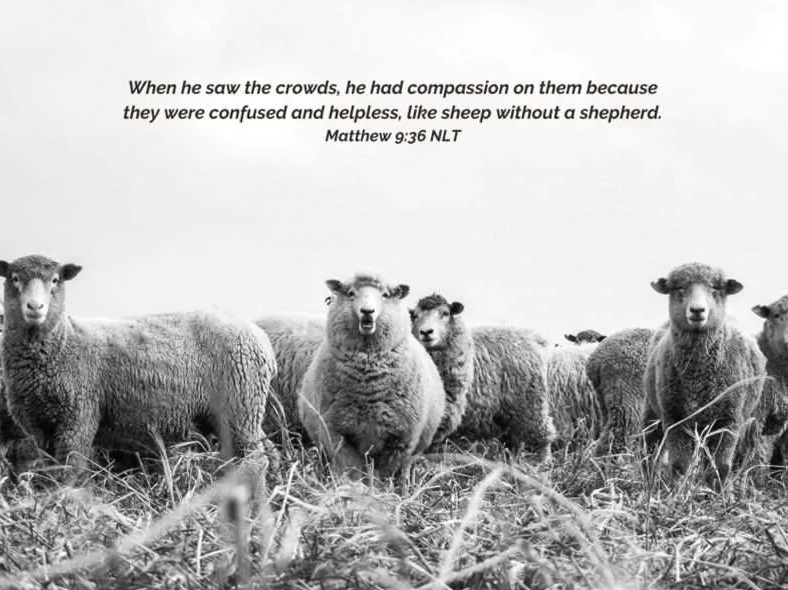 Discussion Review - Matthew 14:13-21 — CityPoint Church