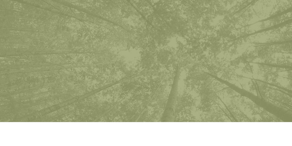 Dr. Heath Schechinger