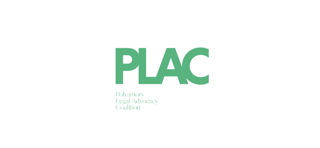 About — Dr. Heath Schechinger