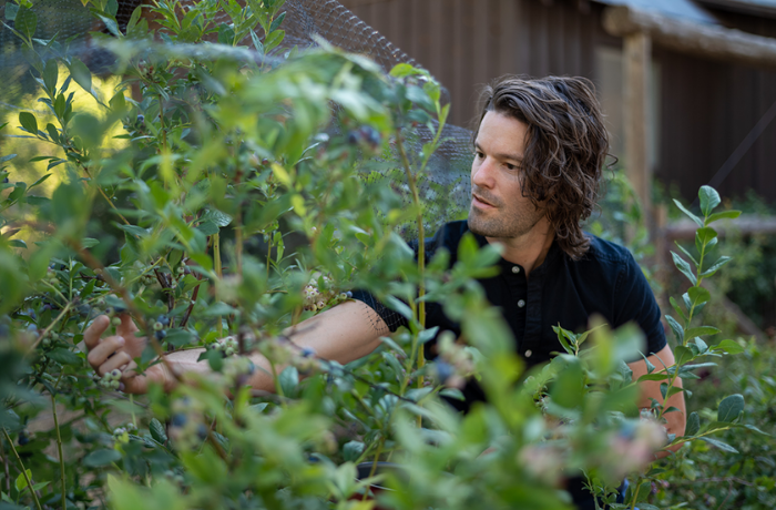 Therapy — Dr. Heath Schechinger