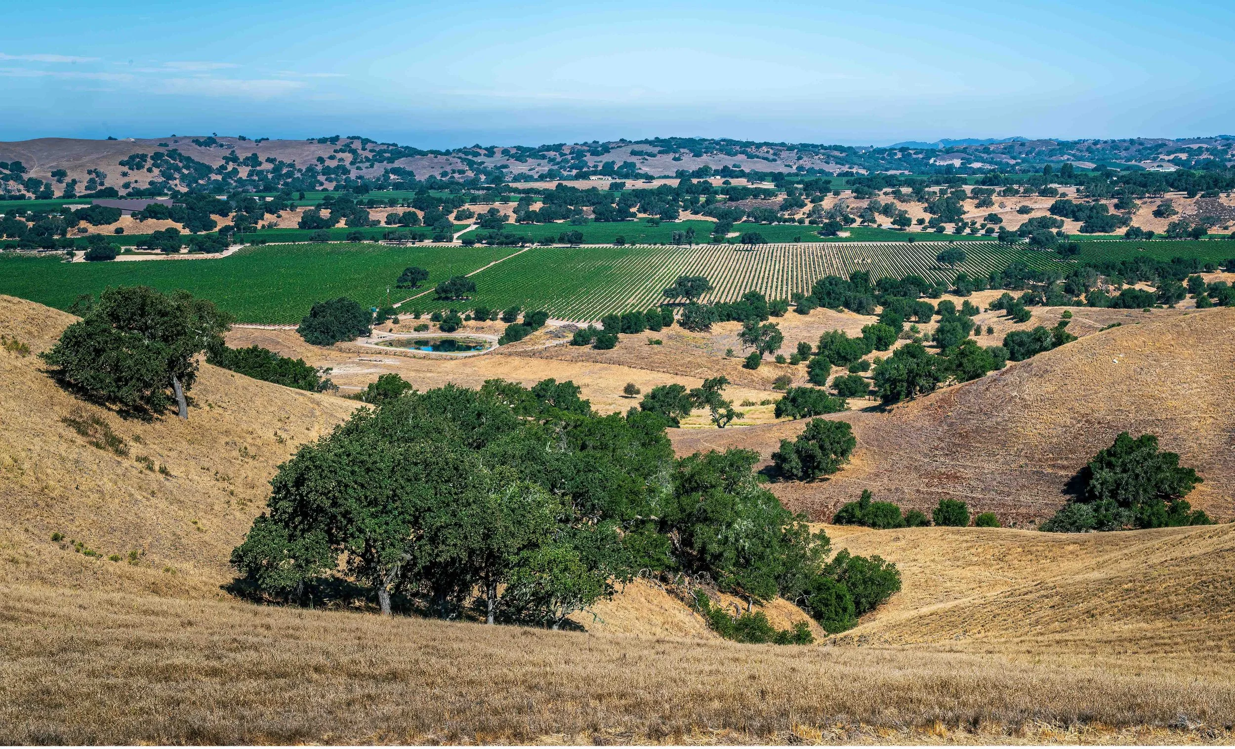 Central California Coastal Area — GAKunberger Photography