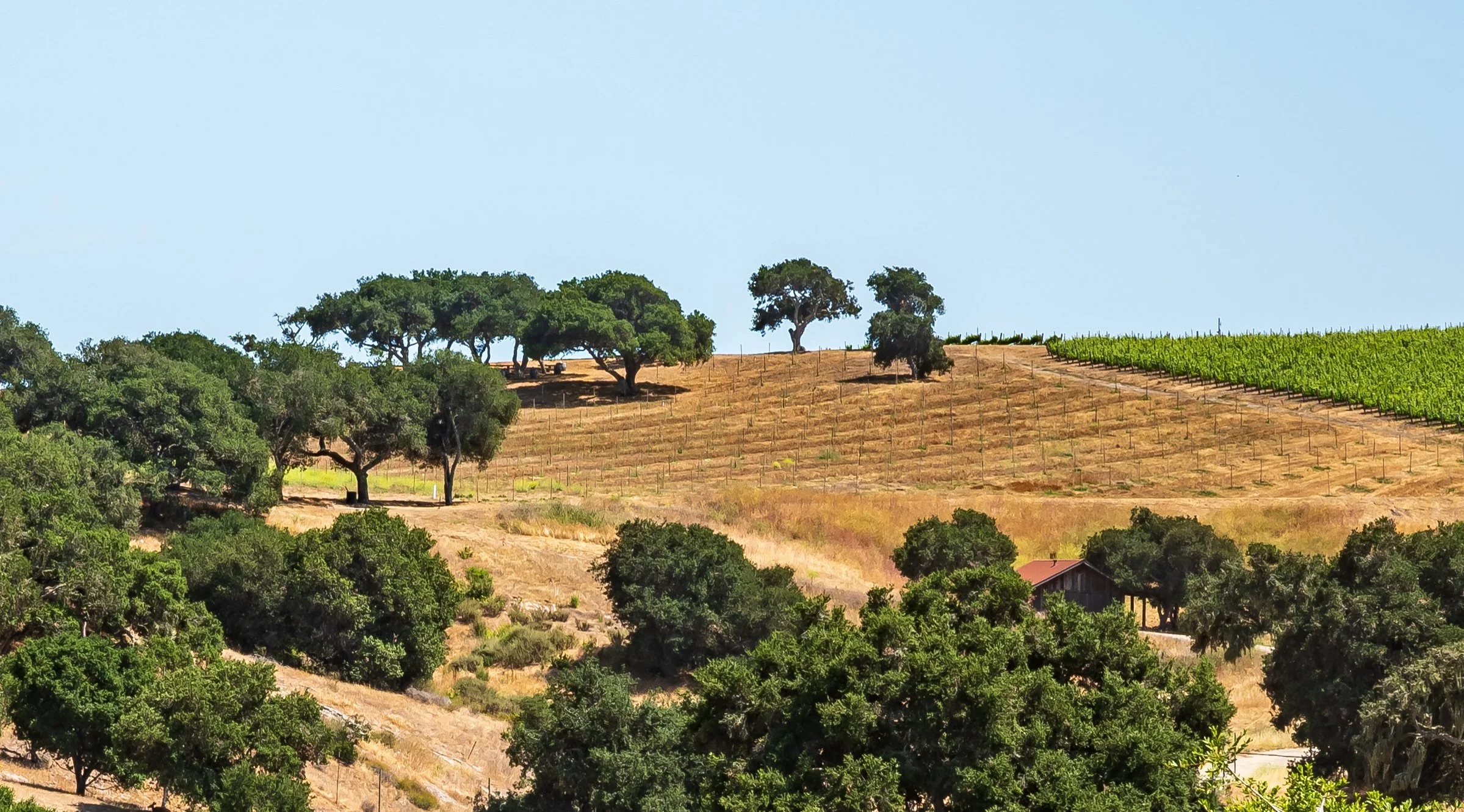 Central California Coastal Area — GAKunberger Photography