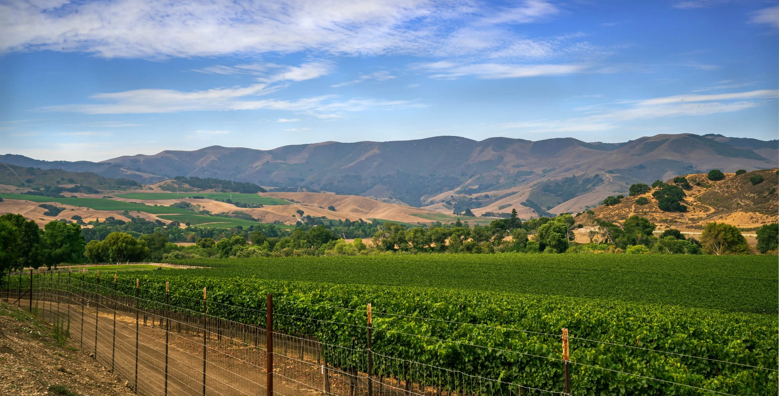 Central California Coastal Area — GAKunberger Photography