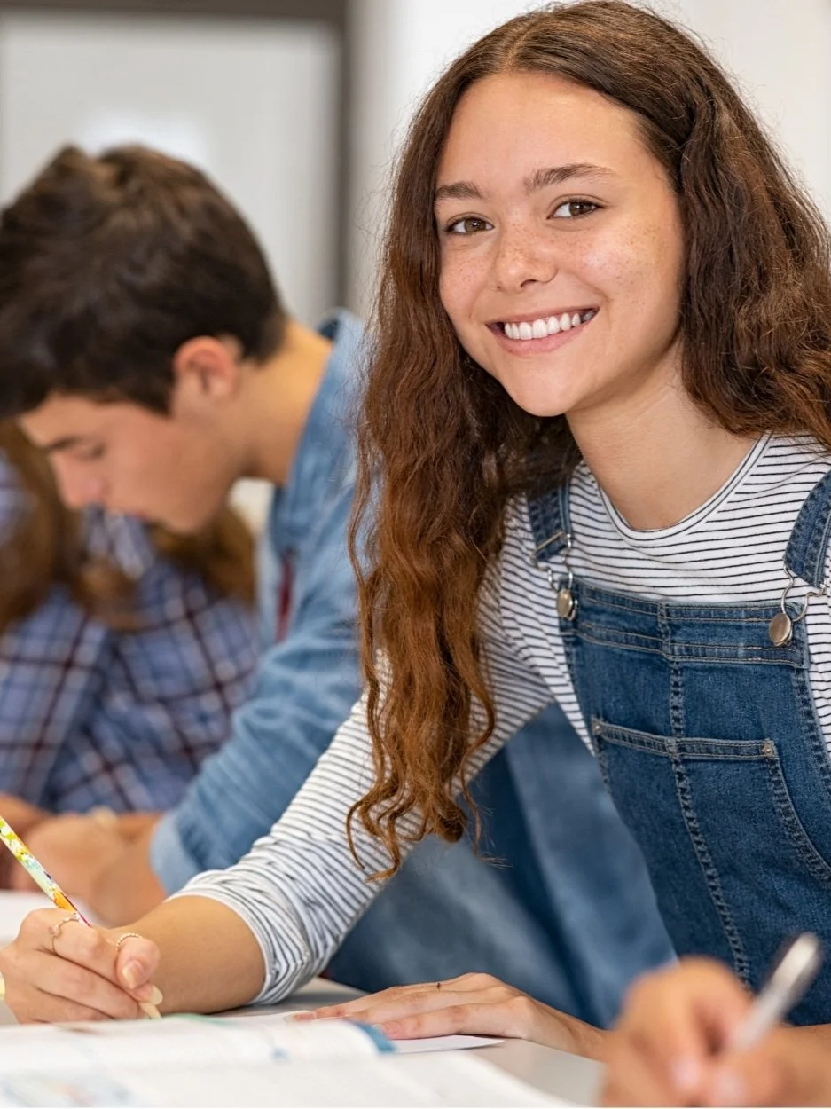 Schools Interactive Online TEFL Course | UK-TEFL