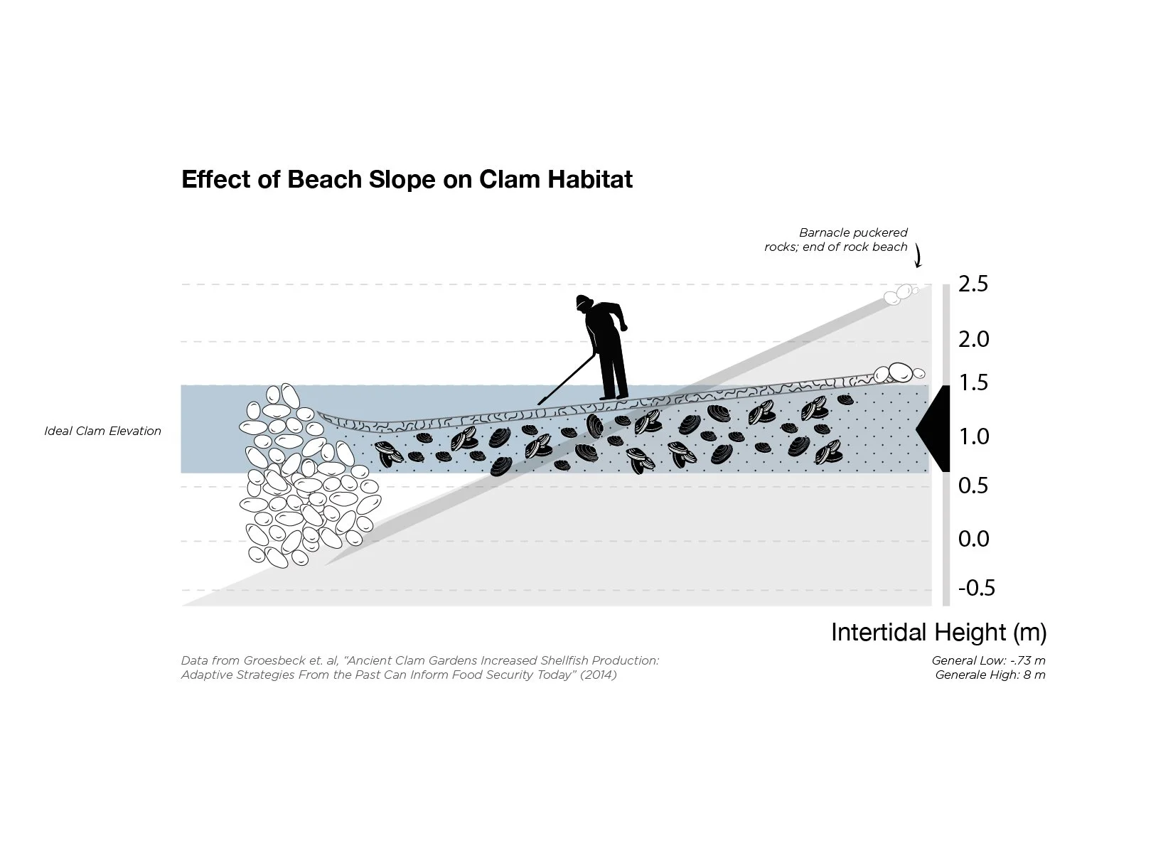 DESIGNING SUSTAINABLE FARMING METHODS:CLAM GARDENS — CSS D/S