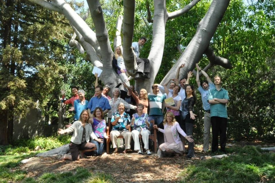 Association of Vision Educators