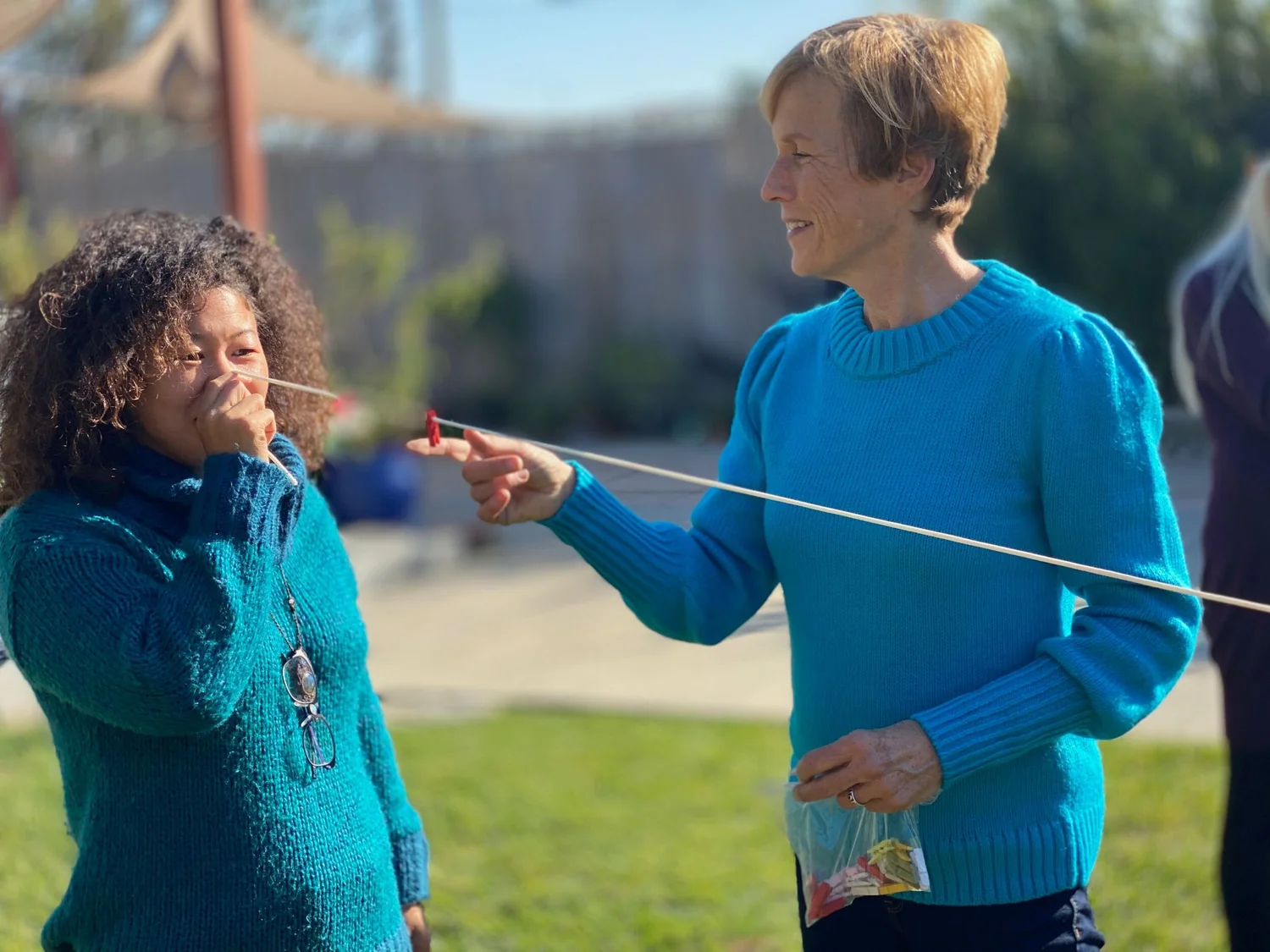 Teachers — Association of Vision Educators