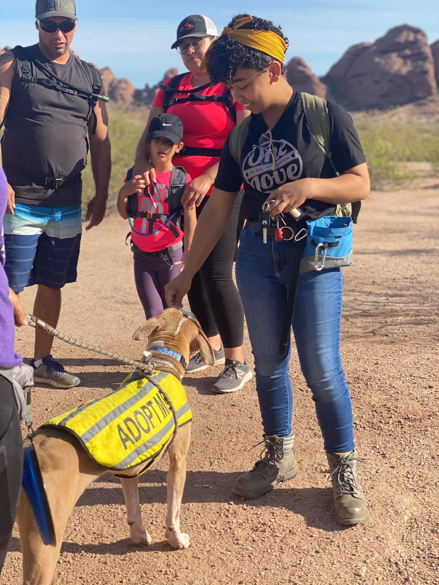 Services — Teach A Dog To Fish