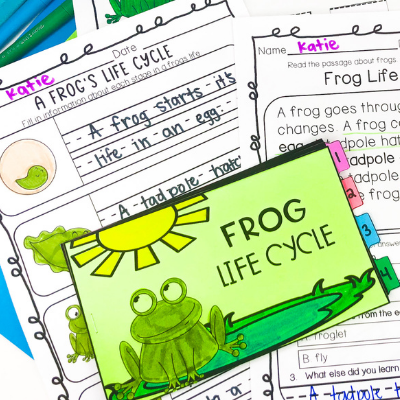 Exploring the Life Cycles of Butterflies, Frogs, and Plants ...