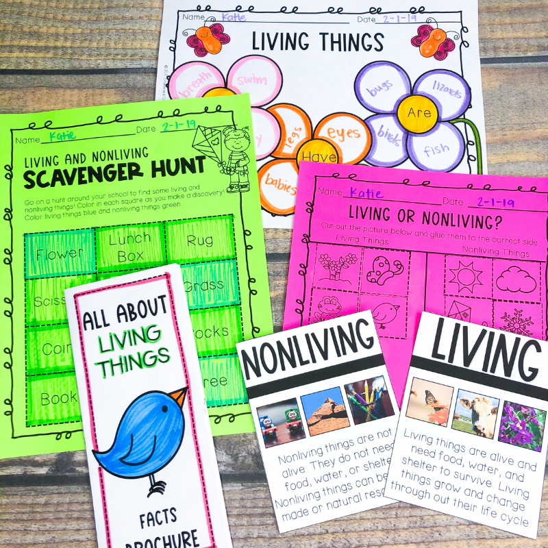 4 New Activities for Your Living and Nonliving Things Unit — Chalkboard ...