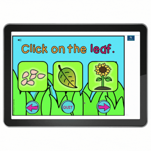 Plant Life Cycle Craft and Activities for Kids — Chalkboard Chatterbox