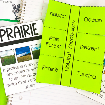 Animal Habitat Anchor Charts and Activities — Chalkboard Chatterbox