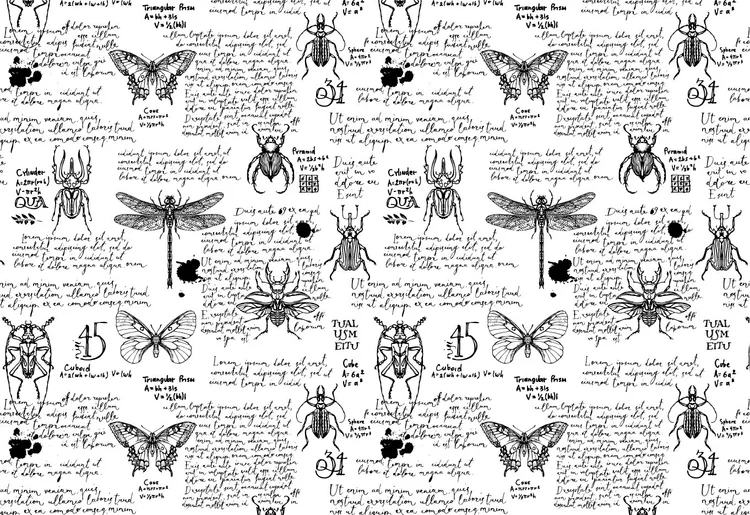 Underglaze Transfer - Bugs — Plum Island Transfers
