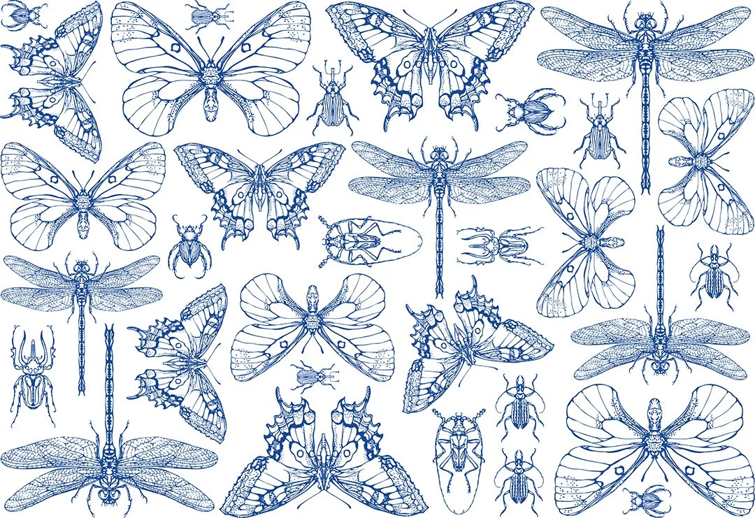 Underglaze Transfer - Bugs in Script — Plum Island Transfers