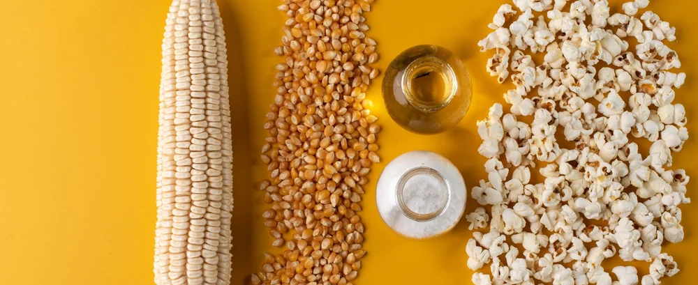 Kitchen Lab: Poppin Corn — Kids Cook!