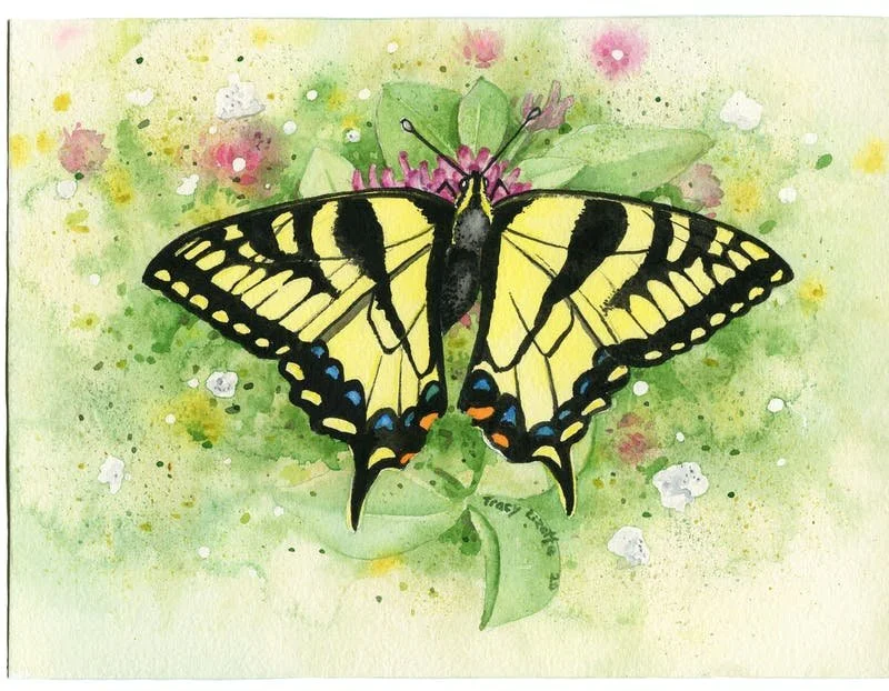 How to Paint a Butterfly — Tracy Lizotte Studios