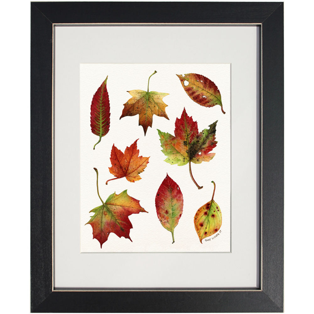 Fall Leaf Frame
