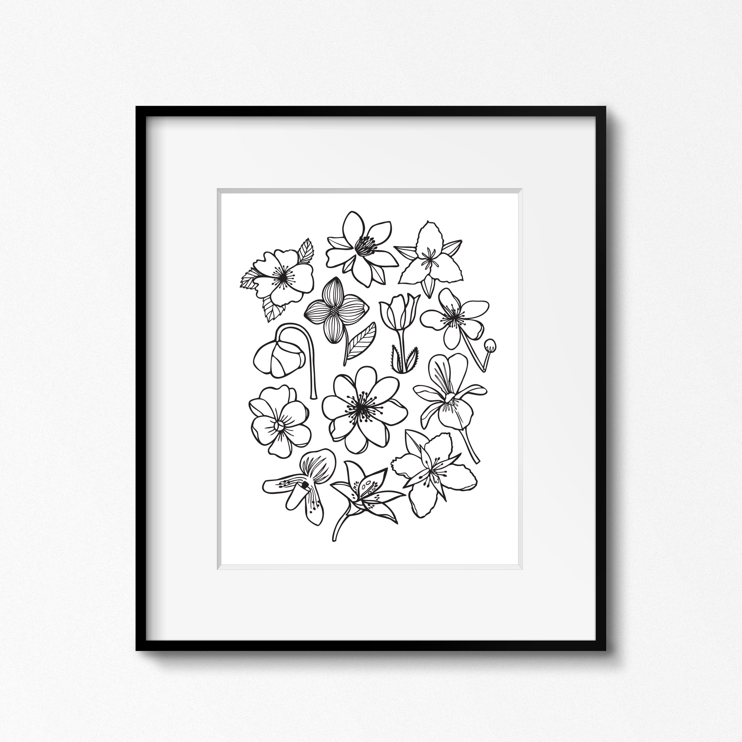 Flowers of the Canadian Provinces and Territories printable wall art ...