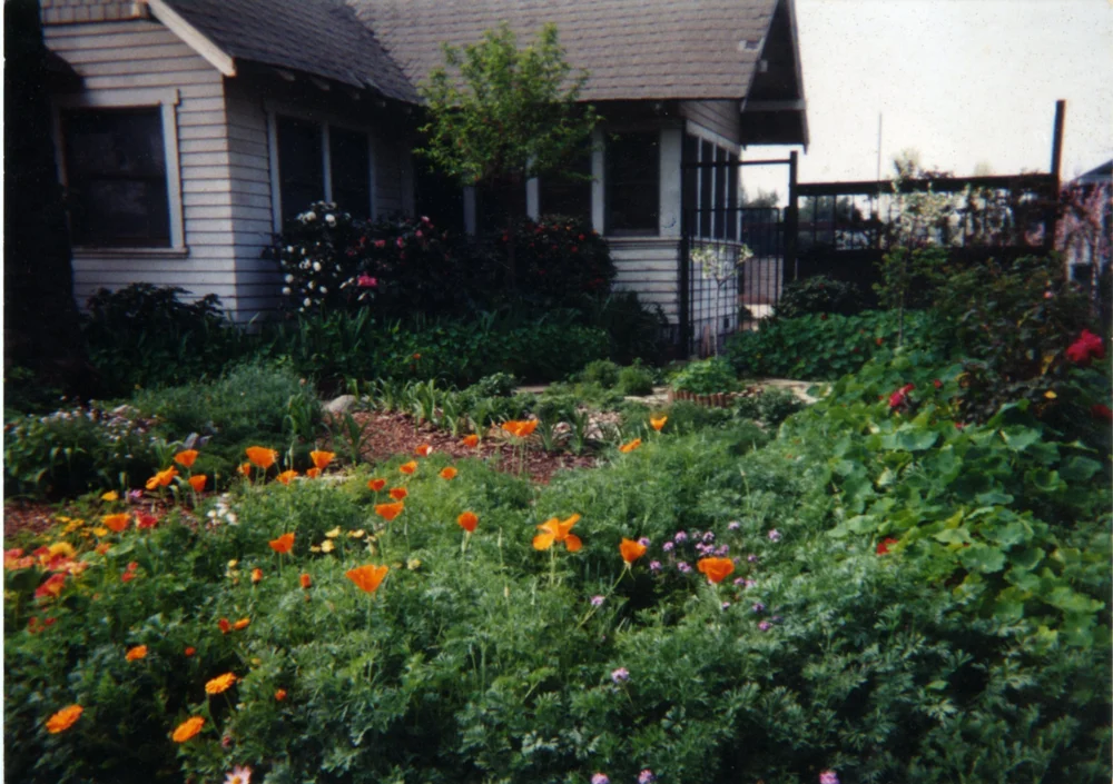 Tour Guide — Urban Homestead