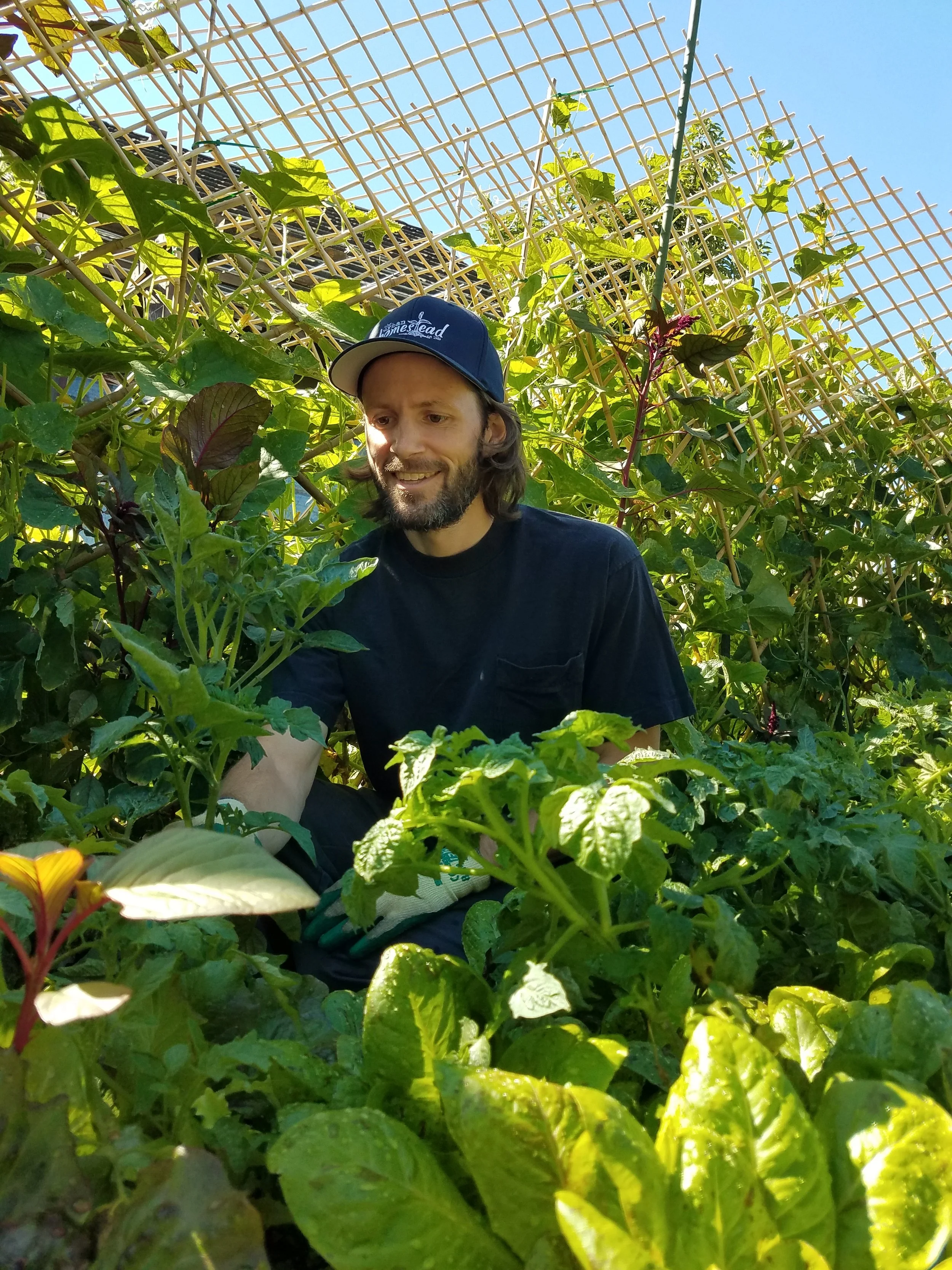 ABOUT — Urban Homestead