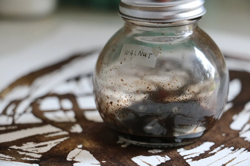 WALNUT INK — Gabrielle Eisma