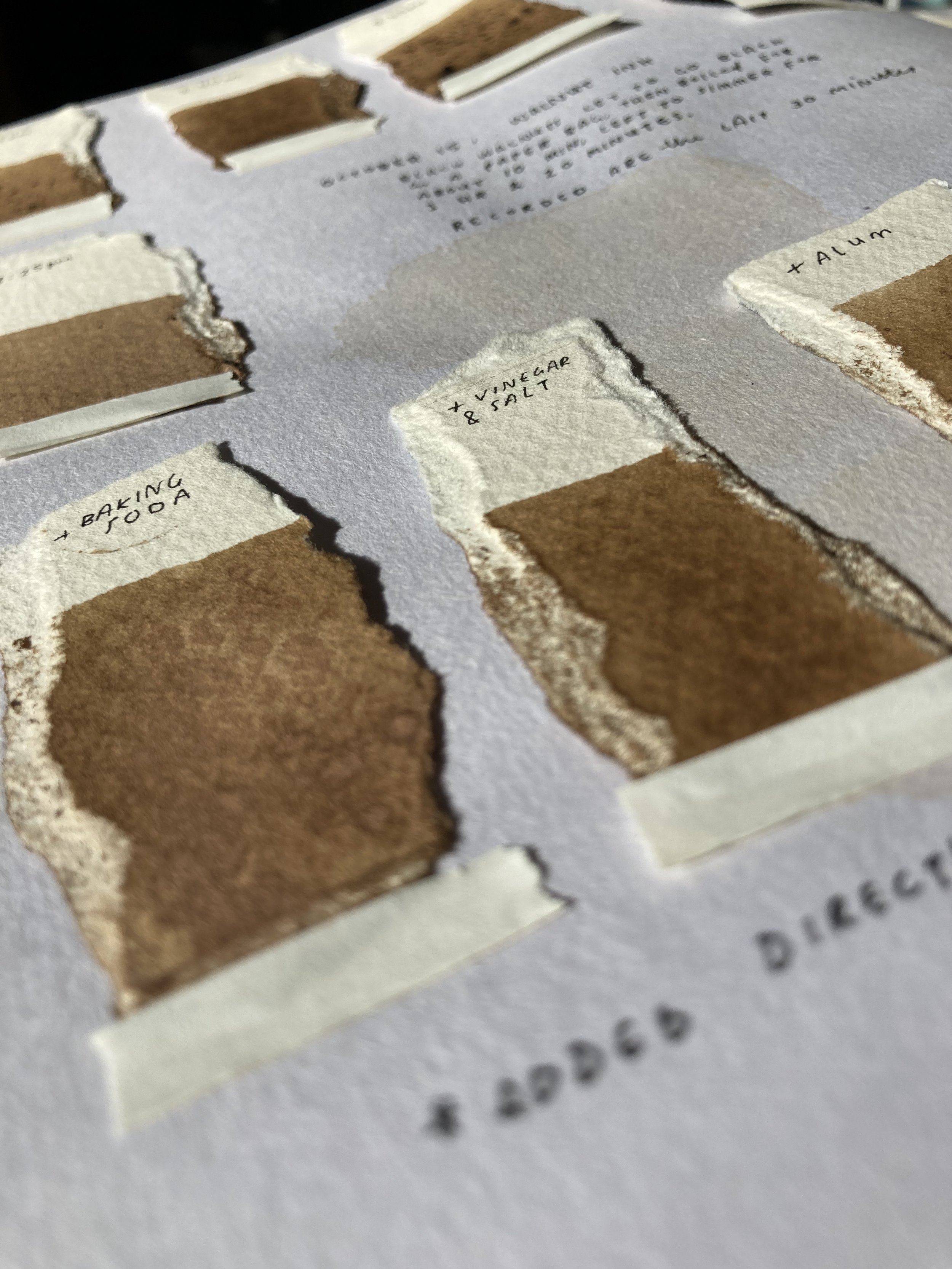 WALNUT INK — Gabrielle Eisma
