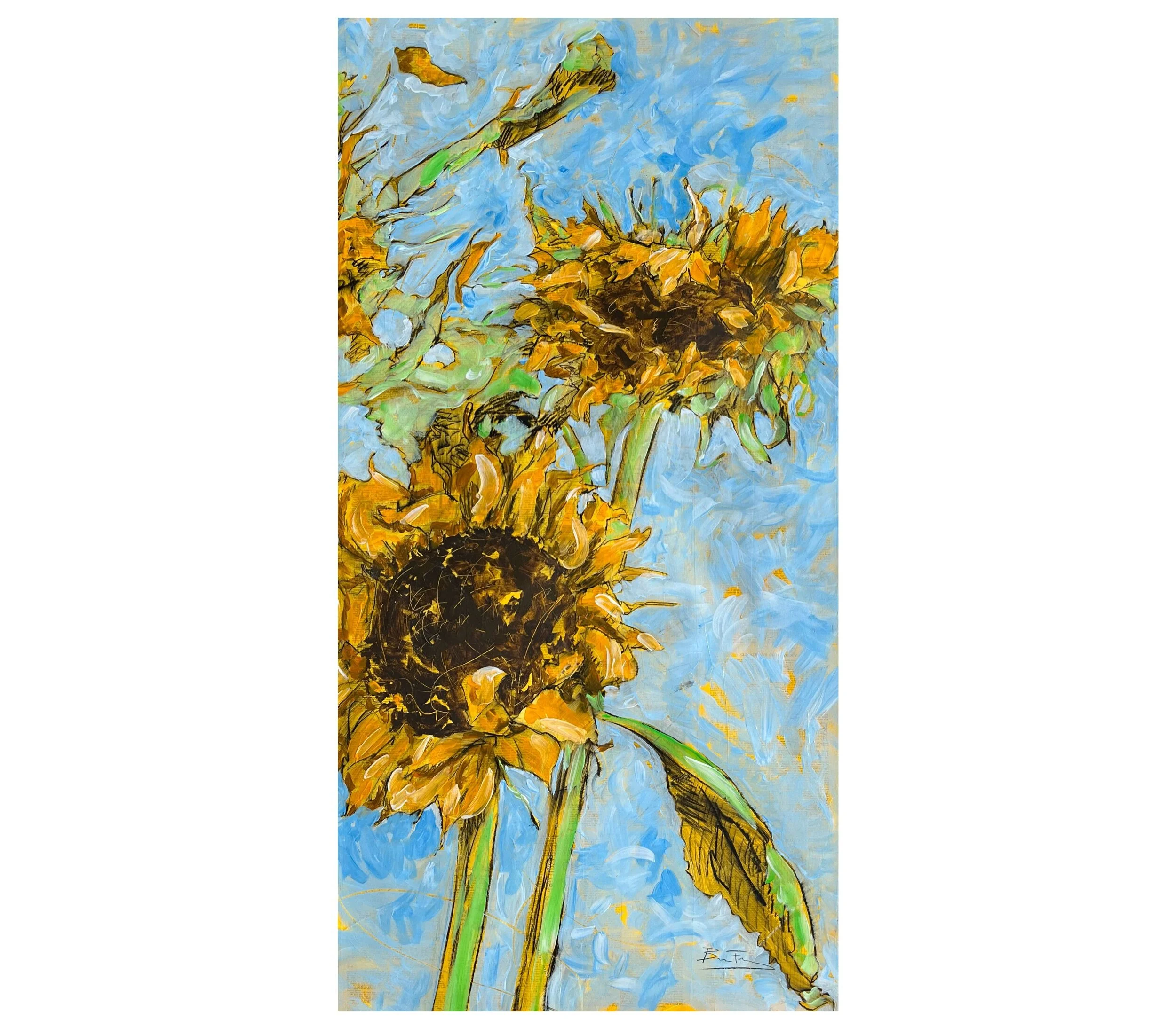 Shop — Benjamin Frey