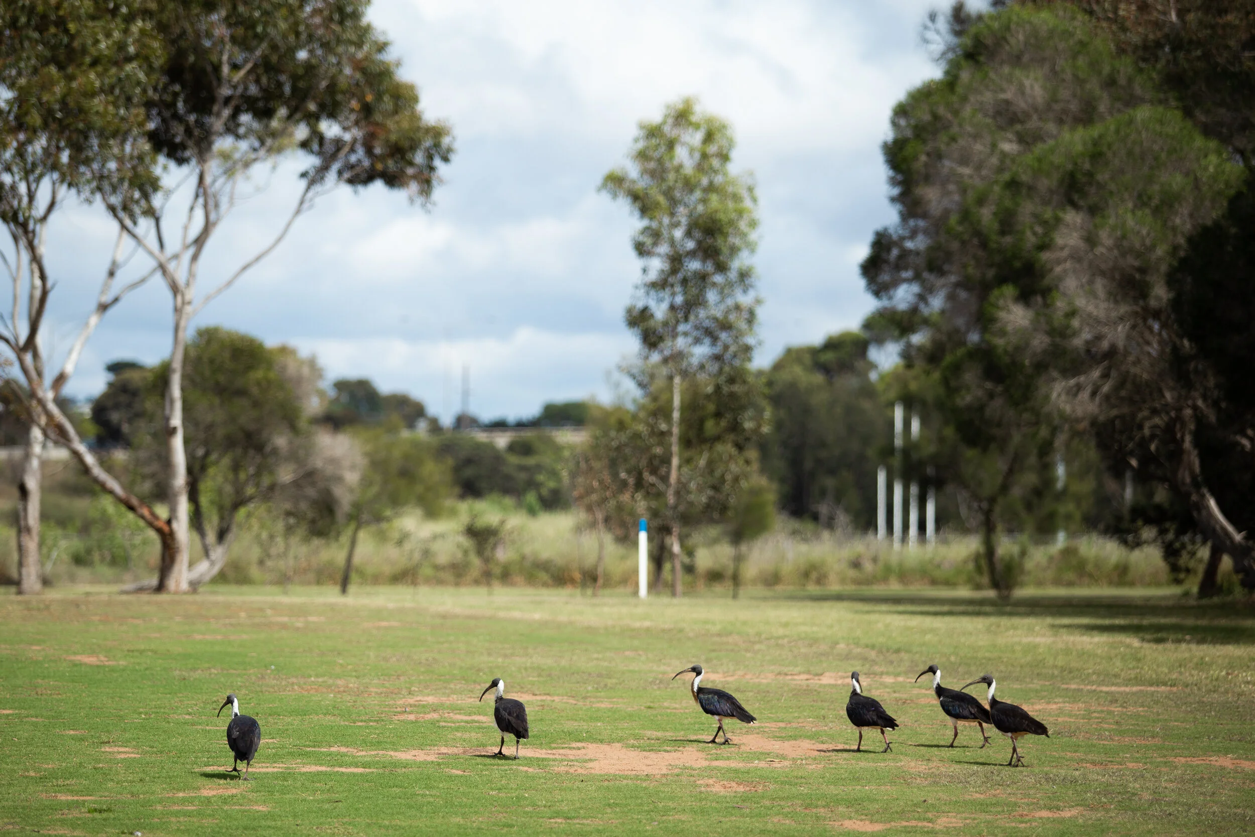 Policies — Barwon Valley Golf Club