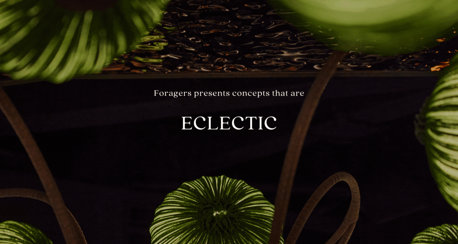 Foragers Lab | Innovative Cuisine and Restaurant Designs — FORAGERS