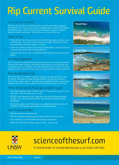 Rips of the Month 2023 — Science of the Surf