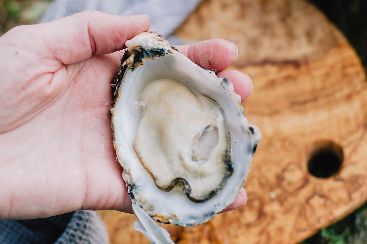The Dunns Orford | The Curious Oyster