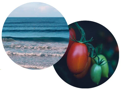 General 1 — Anaria - nurturing women's wellbeing