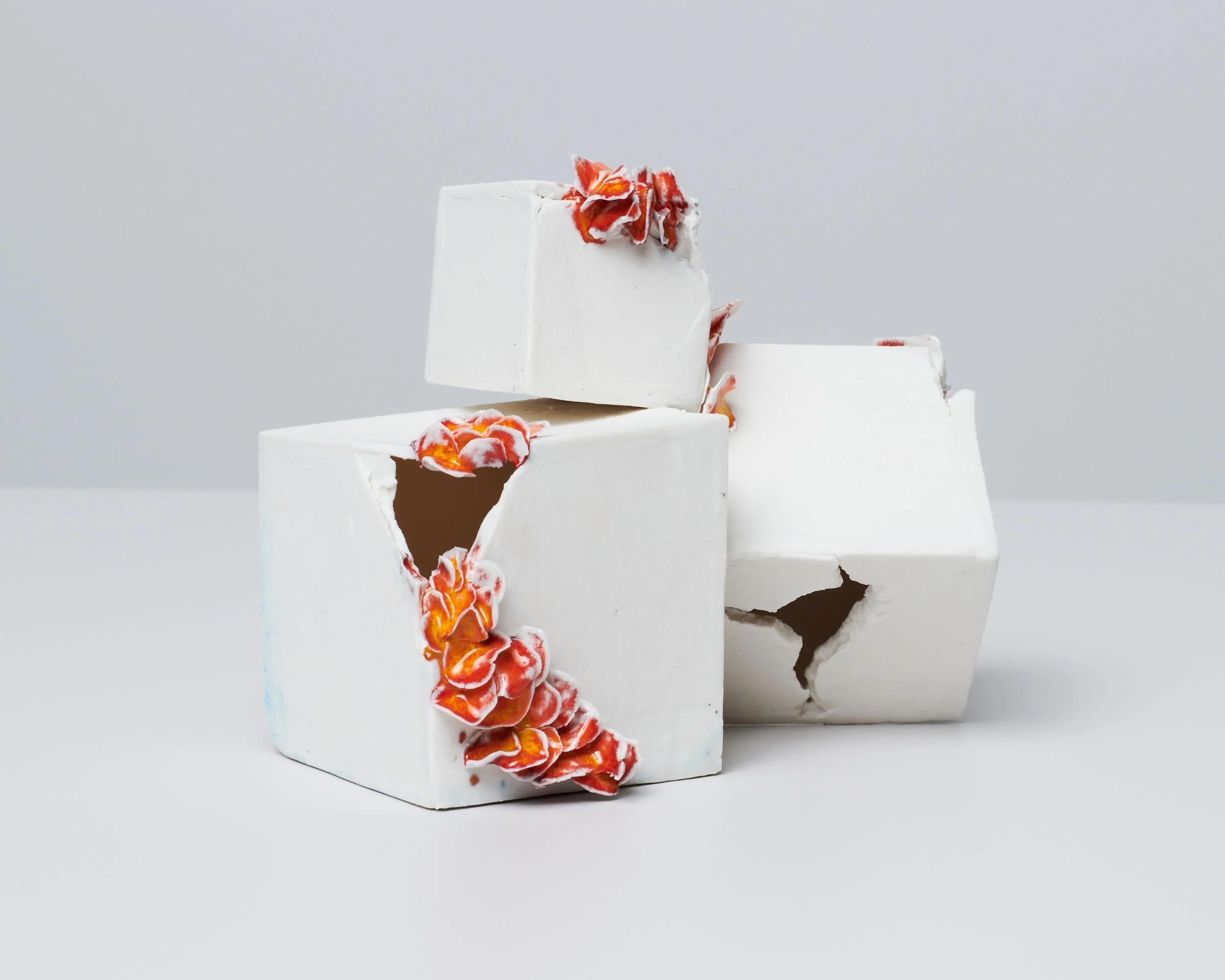 Coral Cubes Series — Zoe Clare