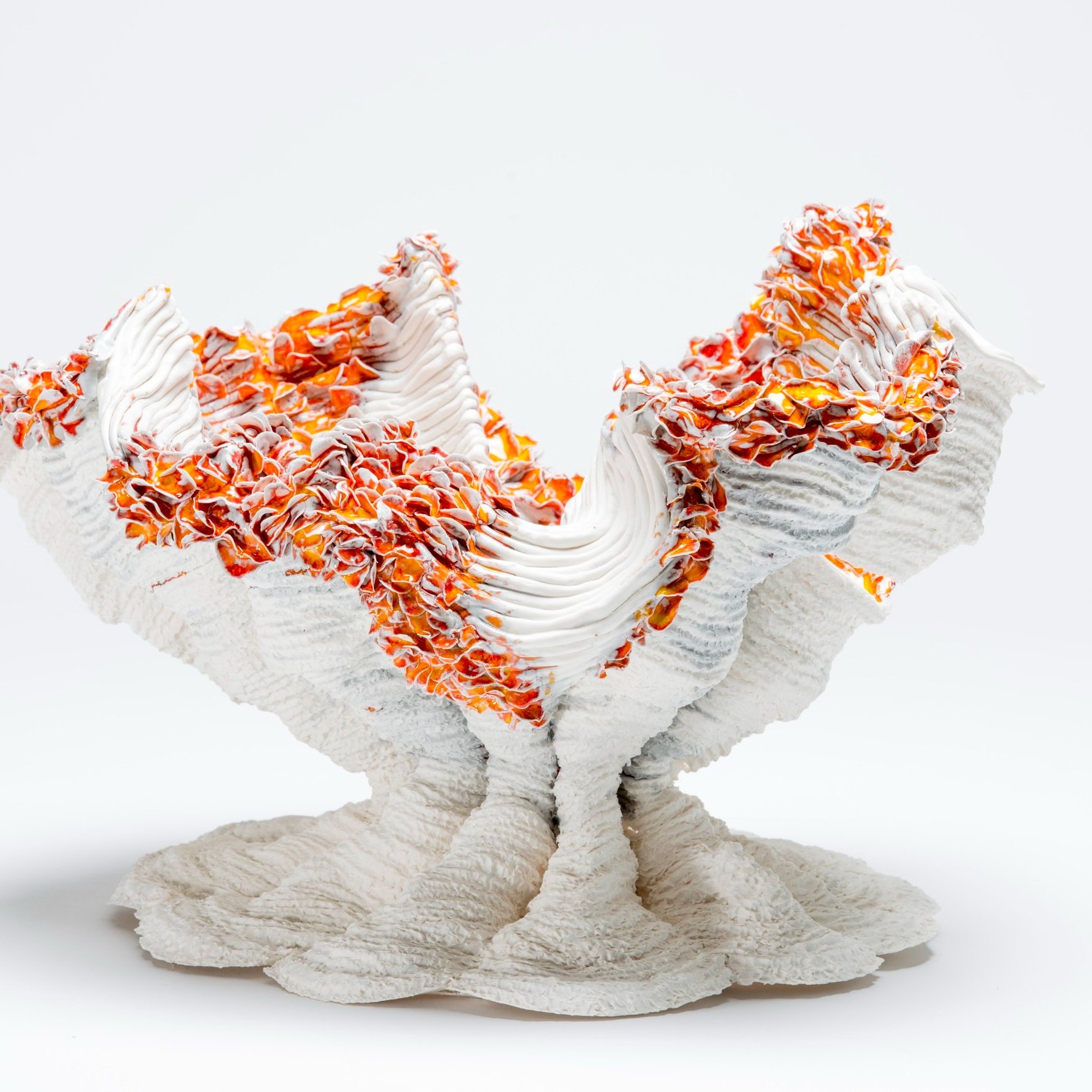 Symbiotic Forms — Zoe Clare